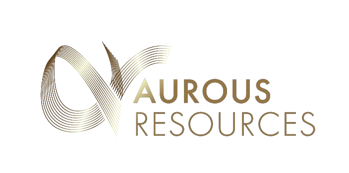 Investors – Blyvoor